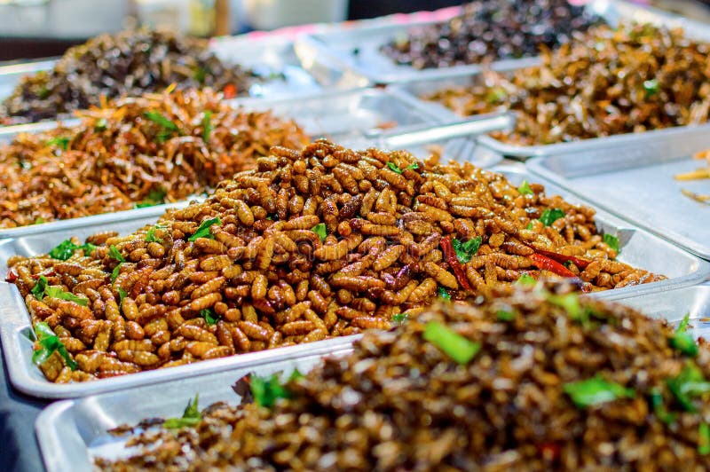 Fried Insects on the Streets Ain Asia, Thailand Stock Image - Image of ...