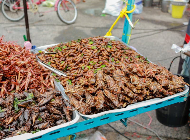 Fried insects stock photo. Image of market, produce, insects - 47282662