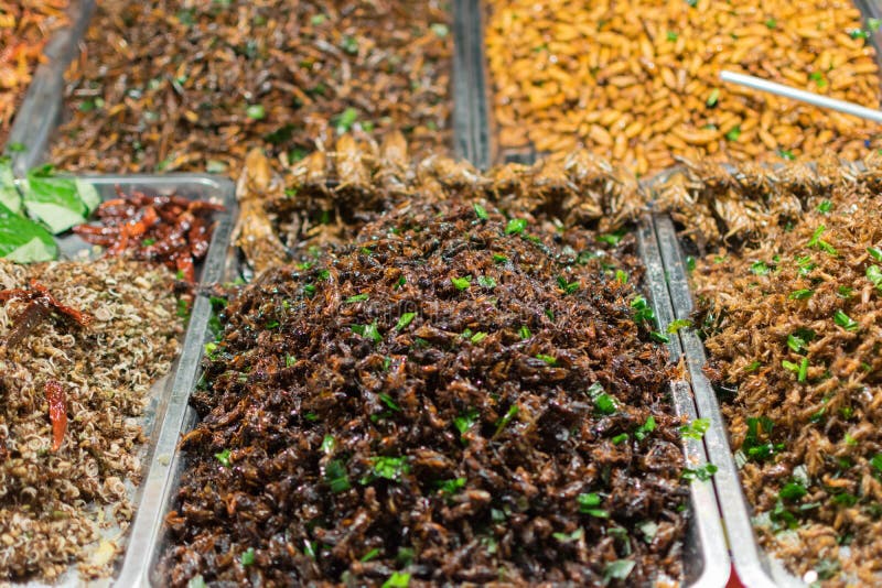 Fried Insects Various Types Stock Photo - Image of nutrition, lime ...