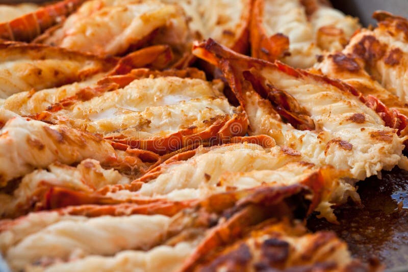 Fried lobsters stock image. Image of spicy, steam, kitchen - 21713597