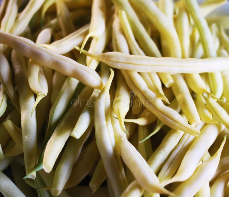 Fried long french beans stock image. Image of beans - 108017049