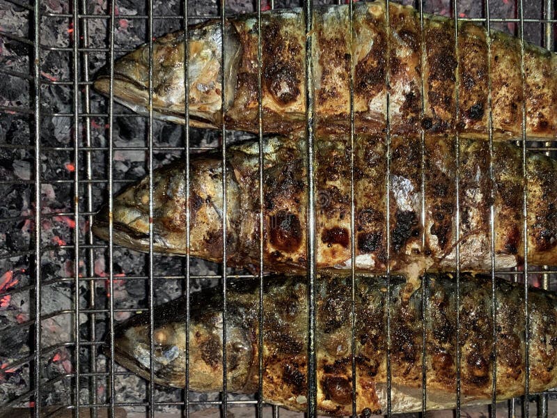 Fried Mackerel Cooked Over a Fire. Grilled Fish with Spices in a Grid ...