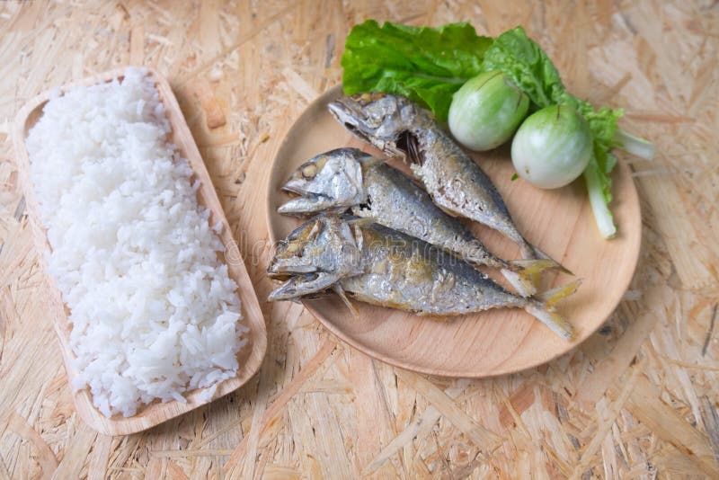 Fried Mackerel Eating with Rice Stock Photo - Image of hungry, closeup ...