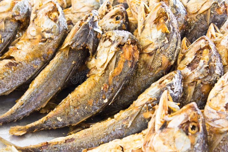 Fried mackerel fish stock image. Image of cooking, catch - 34739467