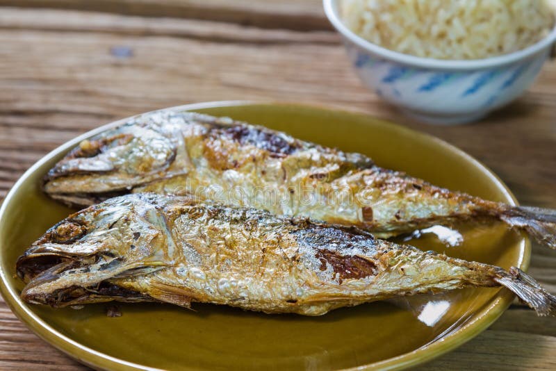 Fried mackerel fish stock image. Image of delicious, diet - 36385827