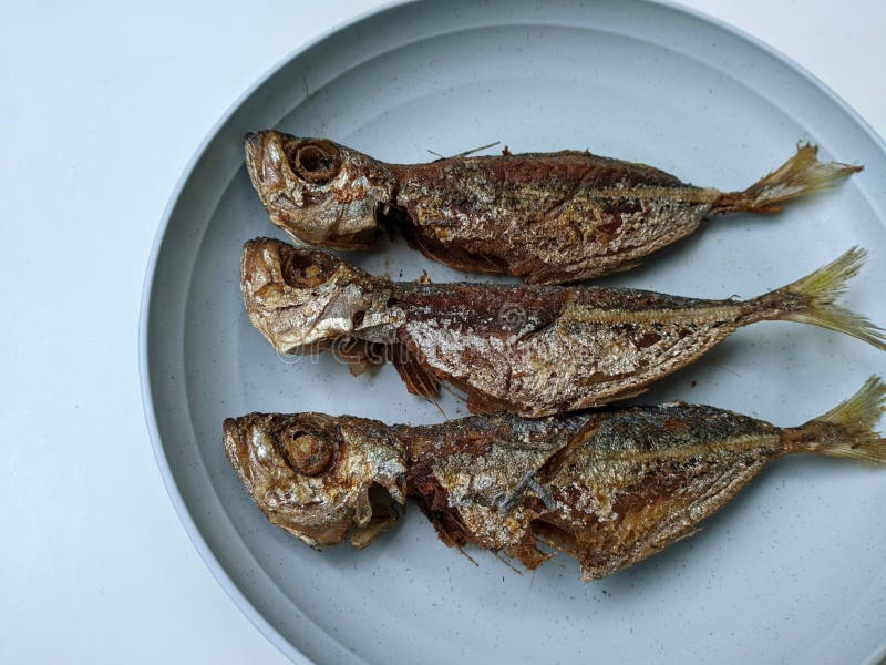 Fried Mackerel Fish on a Plate Stock Image - Image of fried, wildlife ...