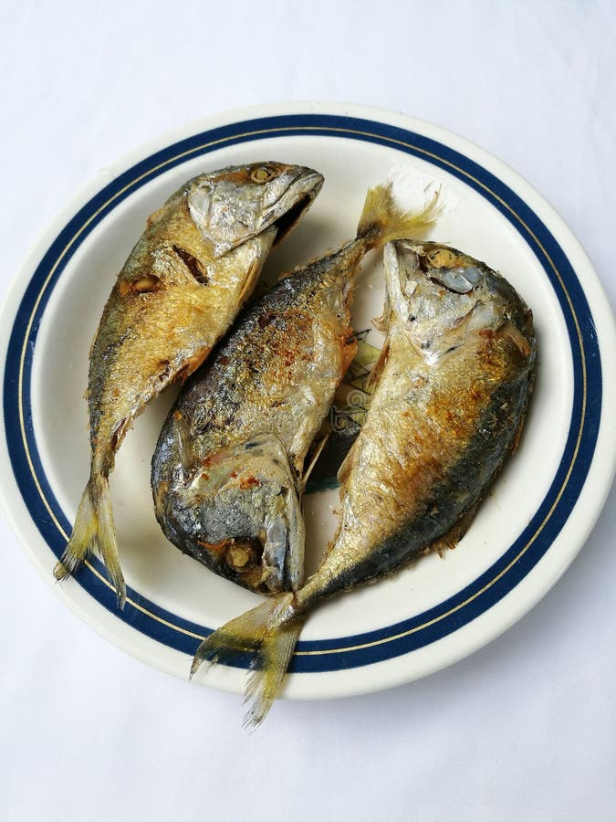 Fried mackerel fish stock image. Image of culture, healthy - 85069463