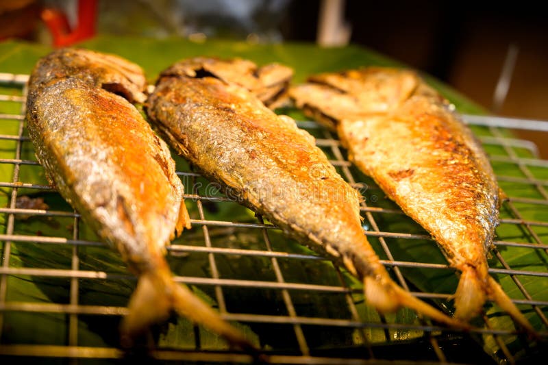 Fried Mackerel Fish on Stand Stock Photo - Image of culture, cooking ...