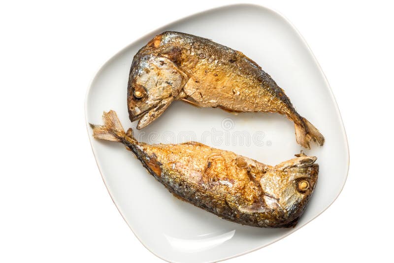 Fried Mackerel fish stock image. Image of nutrition, yellow - 96568249