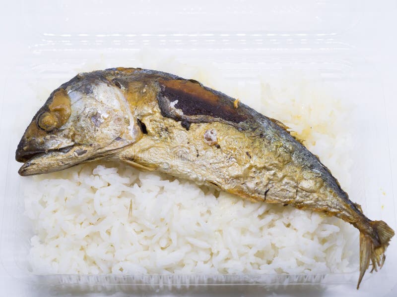 Fried Mackerel with Hot Rice Isolated Stock Photo - Image of closeup ...