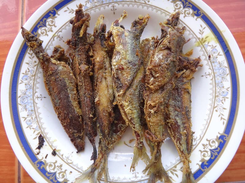 Fried mackerel stock photo. Image of anchovy, shishamo - 83165616