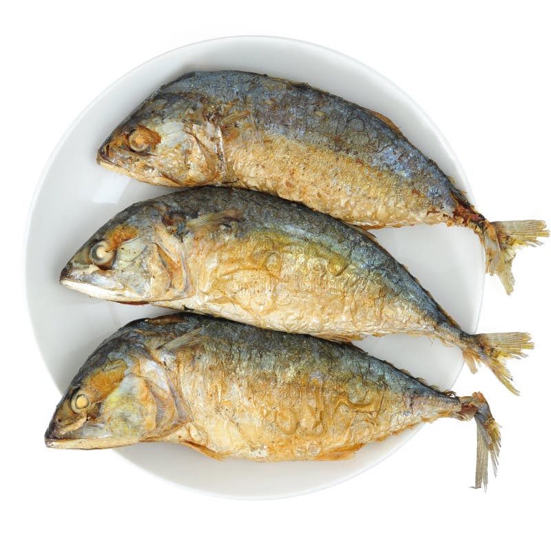 Fried Mackerel stock photo. Image of drink, prepared - 29794688