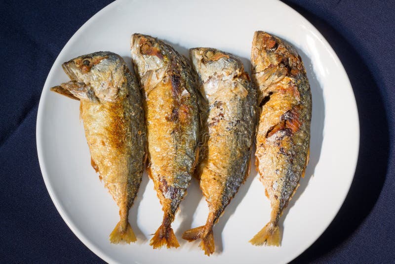 Fried mackerel stock image. Image of four, thai, food - 37794799