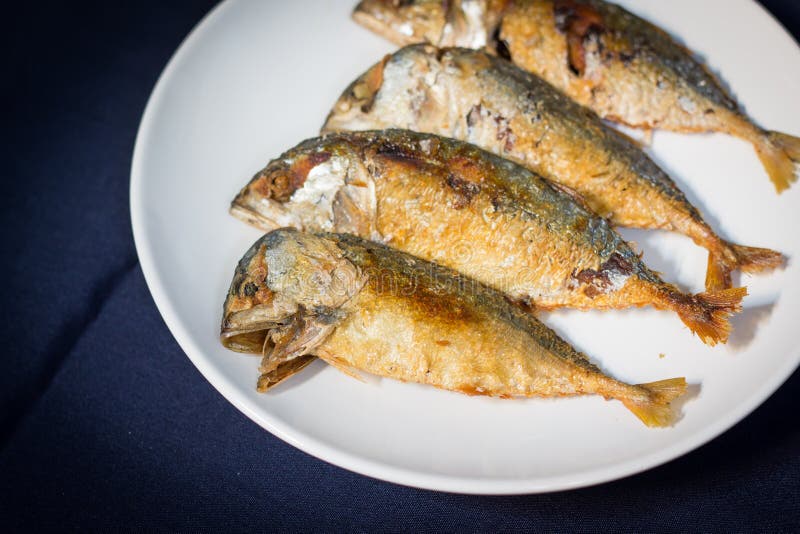 Fried mackerel stock image. Image of shishamo, tinapa - 37794803