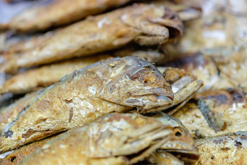 Fried mackerel stock photo. Image of diet, natural, group - 97261850