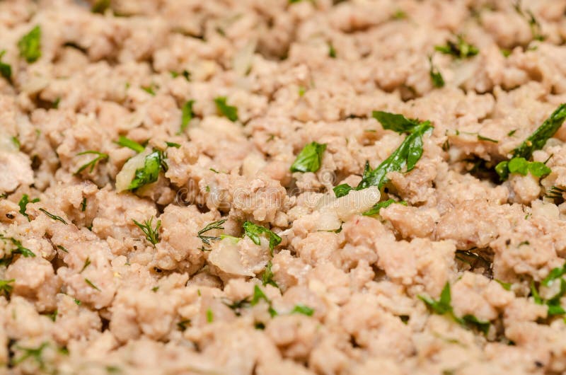 Fried Meat stock image. Image of cook, food, closeup - 27738743