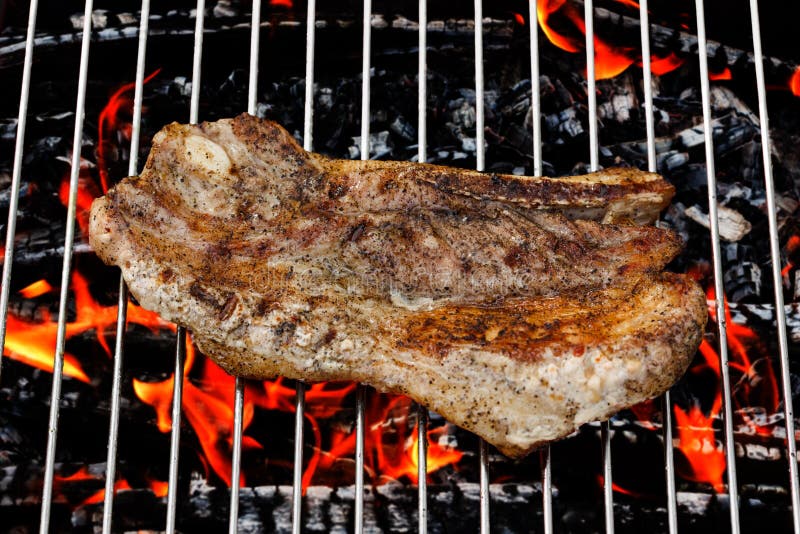 Fried Meat Slice on Barbecue Grid Stock Photo - Image of grid, snack ...
