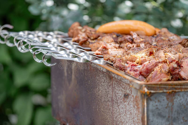 Fried Meat Strung on Skewers is Fried Over an Open Fire on a Grill ...
