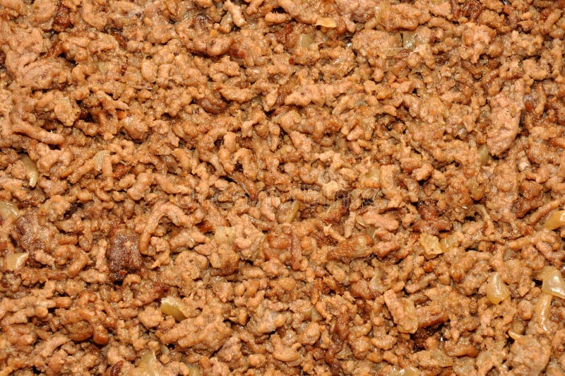 Fried Minced Beef stock photo. Image of minced, fried - 50204754