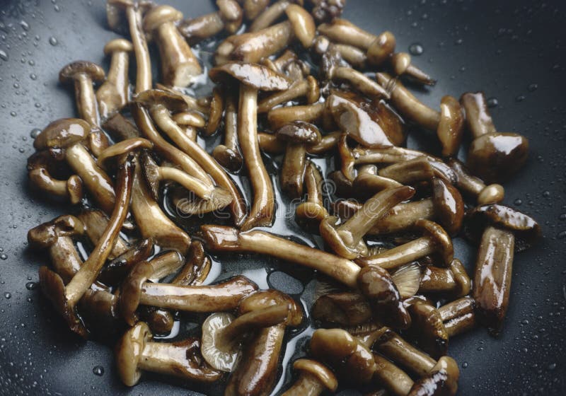 Fried Mushrooms Simmer in the Pan Stock Image - Image of brown, grilled ...