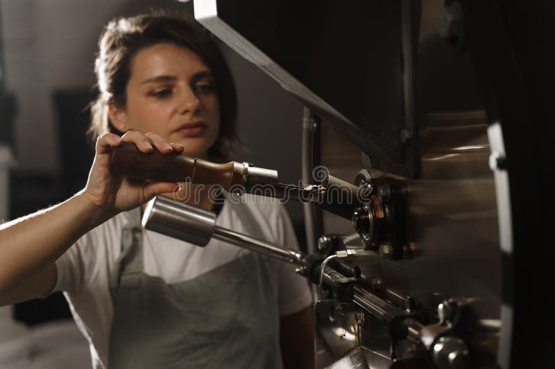 Fried Organic Coffee Beans. Checking Quality of the Roasted Grains ...