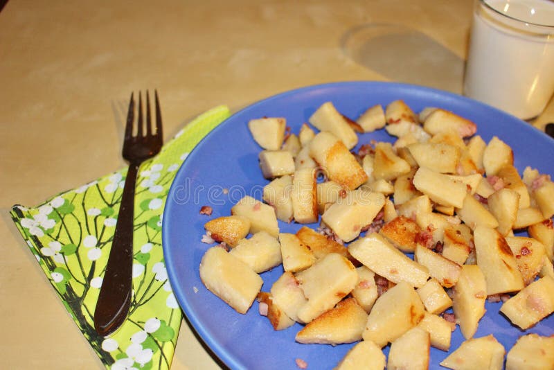 Fried palt stock photo. Image of good, food, dinners - 98954930