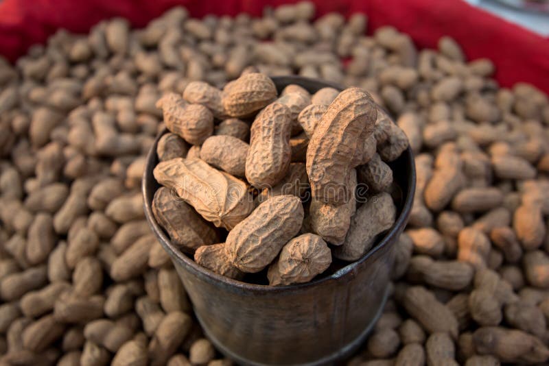 Fried Peanuts stock image. Image of fried, seeds, vegetable - 113191777