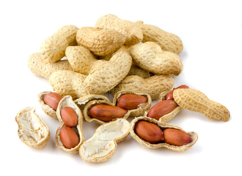 Fried peanuts in shell. stock image. Image of food, fried - 106097485