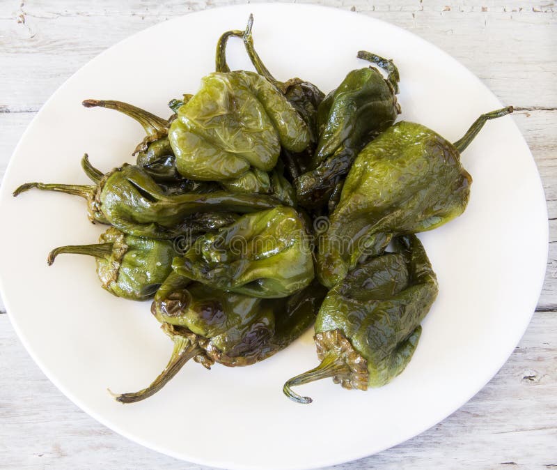 Fried peppers green stock photo. Image of padron, pimentos - 112315300