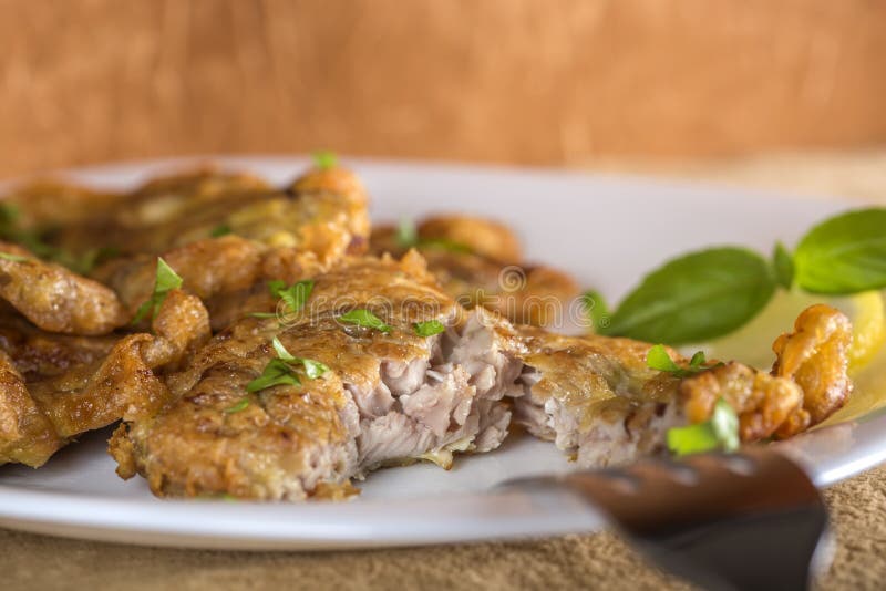 Fried pork brain stock image. Image of table, plate, pork - 71208909