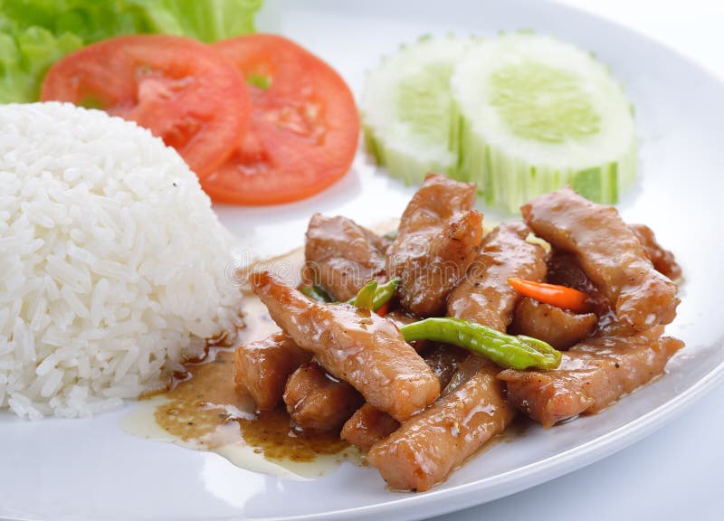Fried Pork with Rice stock image. Image of pork, pepper - 67348327