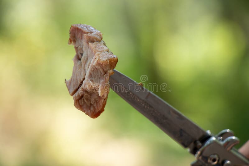 Fried Pork Skewers on a Knife on a Green Background in the Forest ...