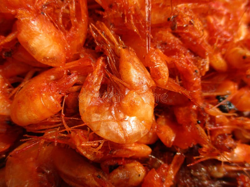 Fried local Nepali fish stock photo. Image of cooking - 110851090