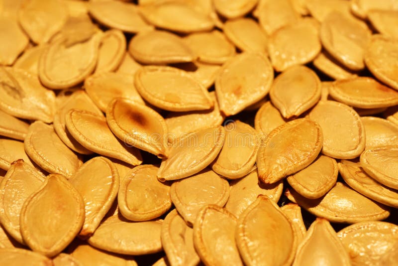 Fried pumpkin seeds stock image. Image of brown, roast - 131075871