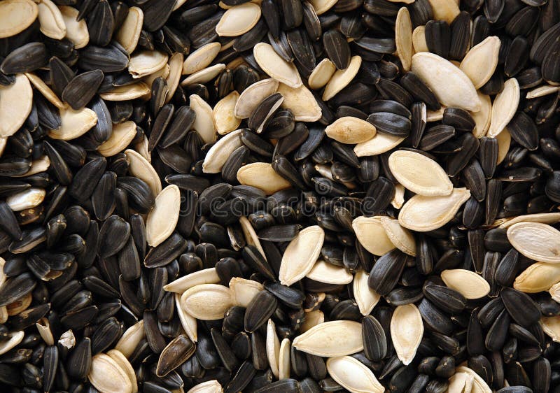 Fried Pumpkin and Sunflower Seeds Stock Image - Image of macro, flavor ...