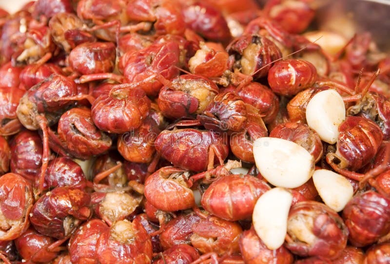 Fried red stock image. Image of bristle, luxury, marines - 16593445