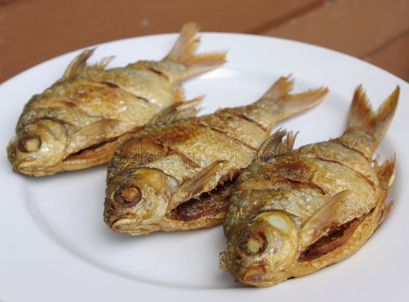 Fried red-fin barb stock image. Image of crispy, freshwaterfish - 42160715