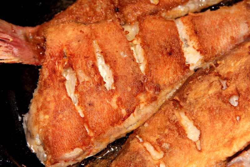 Fried Red Perch. Good Nutrition Stock Image - Image of dish, lemon ...