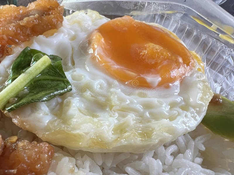 Fried rice with fried eggs stock photo. Image of cooking - 294230074