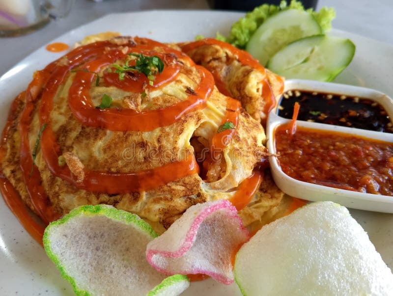 Fried Rice Wrapped in Omelet with Sauce on Top and Crackers Hots Stock ...