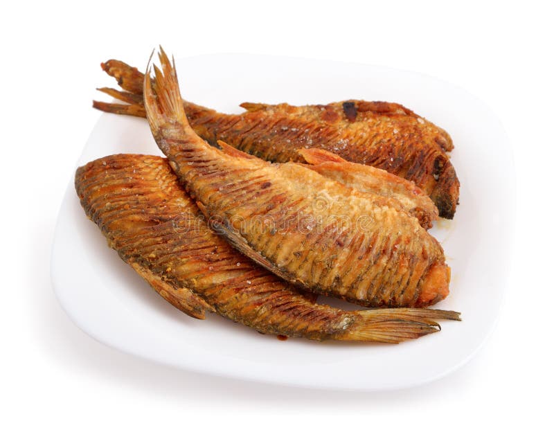 Fried River Fish with the Cutting Back. Stock Image - Image of muscle ...