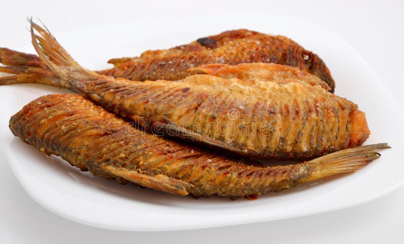 Fried River Fish with the Cutting Back. Stock Image - Image of bass ...