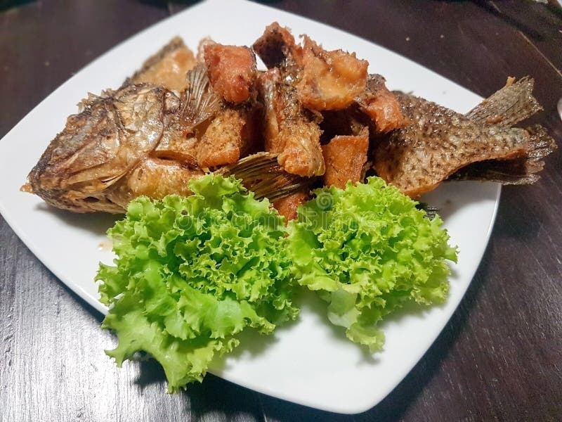 Fried fish with lettuce stock photo. Image of oily, fresh - 2366504