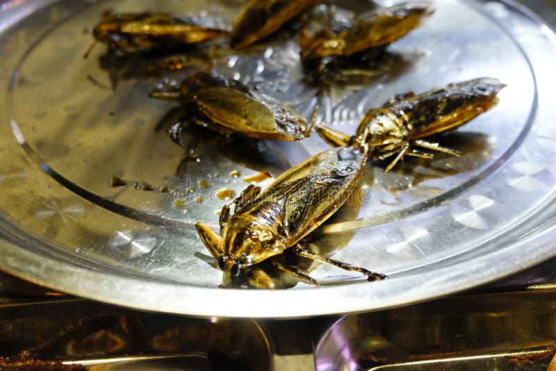 Fried Maggots stock image. Image of asia, chilis, reap - 74537109