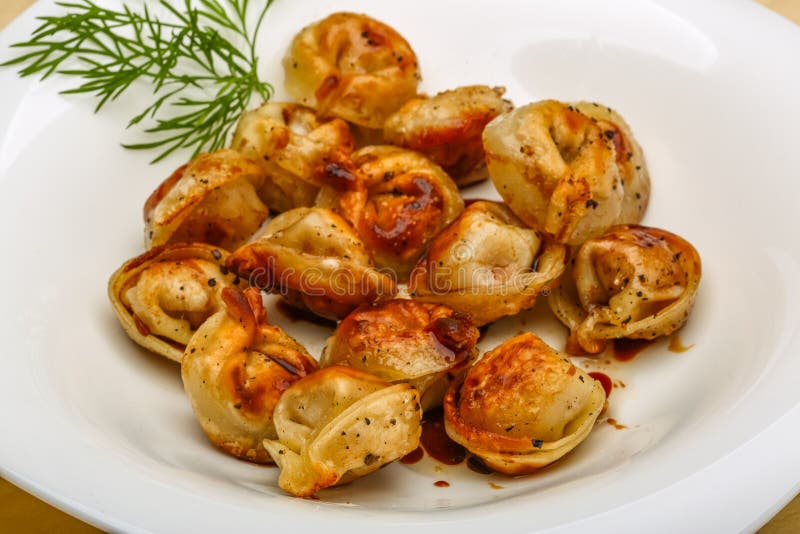 Fried Russian Dumpling with Meat Stock Image - Image of dinner, snack ...
