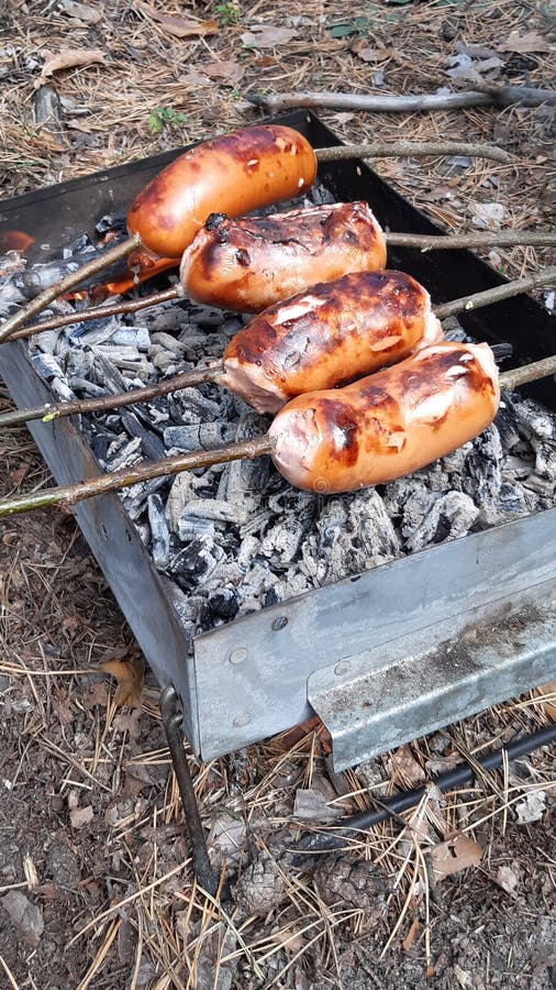 Fried Sausages on a Fire in the Forest. Sausages on a Twig Stock Photo ...