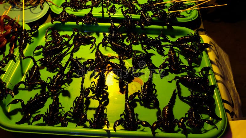 Exotic Food Trays, Fried Scorpions, Fried Snakes and Lizards on Sticks ...