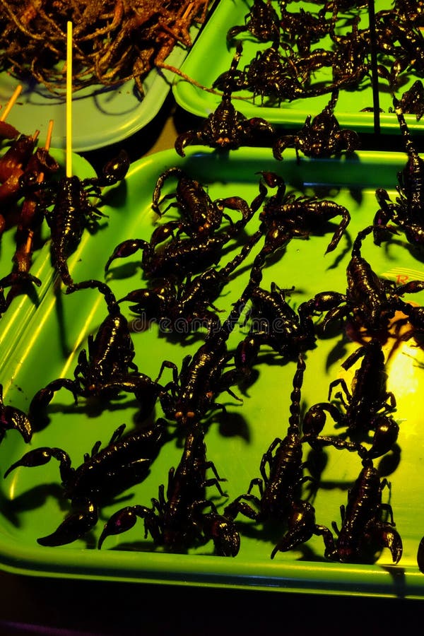 Fried Scorpions, Exotic Food, Asian Food Stock Photo - Image of asian ...