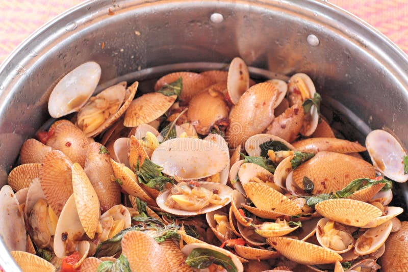 Fried Shell in Curry Sauce - Surf Stock Photo - Image of lunch, fried ...