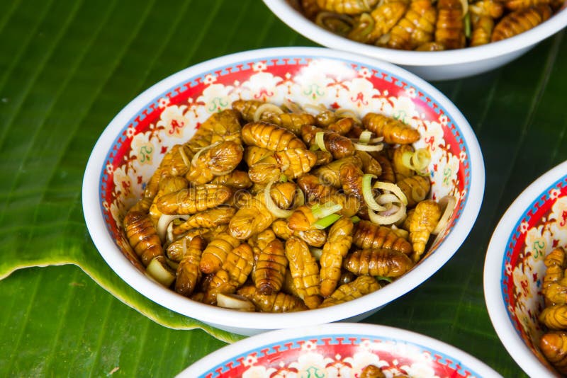 Fried worm stock photo. Image of dessert, crispy, grub - 29255128